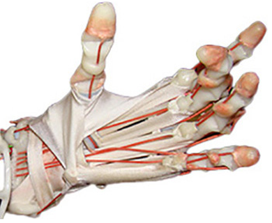 Robot Hands